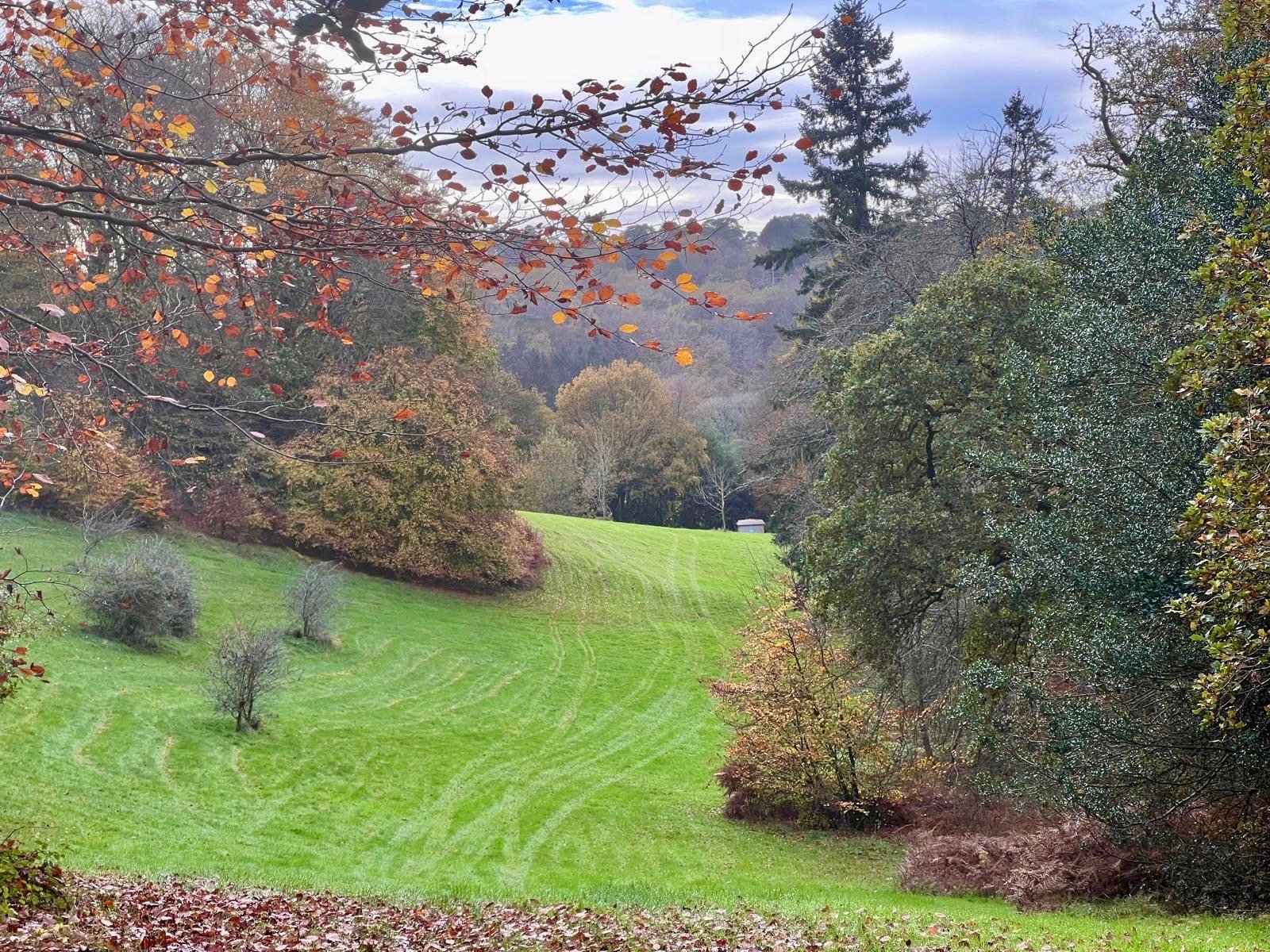 Haslemere Herald - local news at the heart of the community